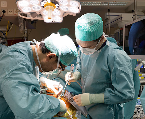 Video-Assisted Thoracoscopic Surgery Lobectomie - Cardiothoracale Chirurgie